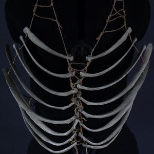 Handmaid Resin Rib Bone Armor - Etsy