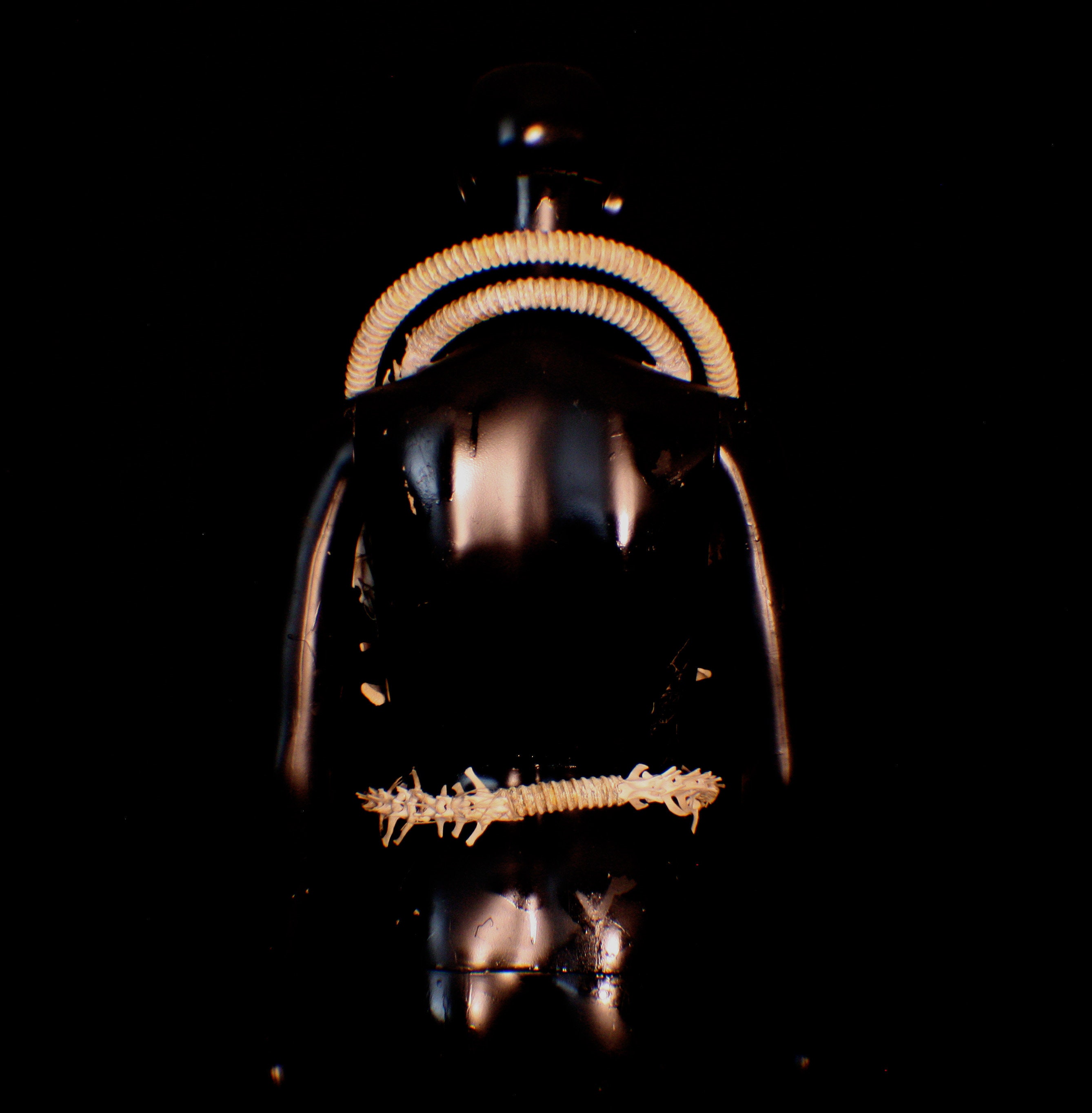 Real Bone Armor: artemis articulated Sheep Vertebrae - Etsy