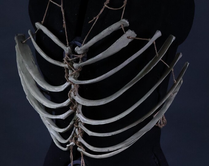 Handmaid Resin Rib Bone Armor - Etsy