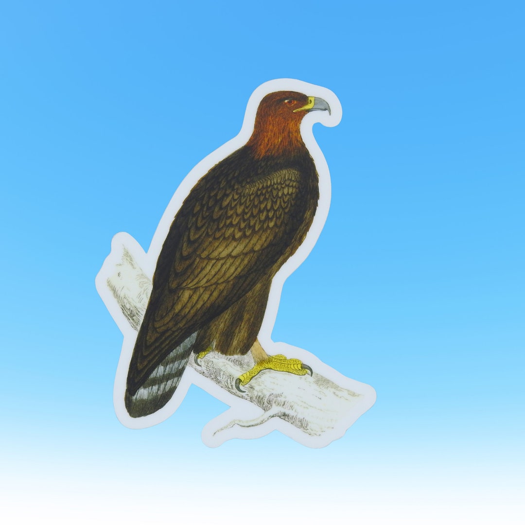 Vintage Golden Eagle Sticker: Matte Vinyl Decal - Etsy