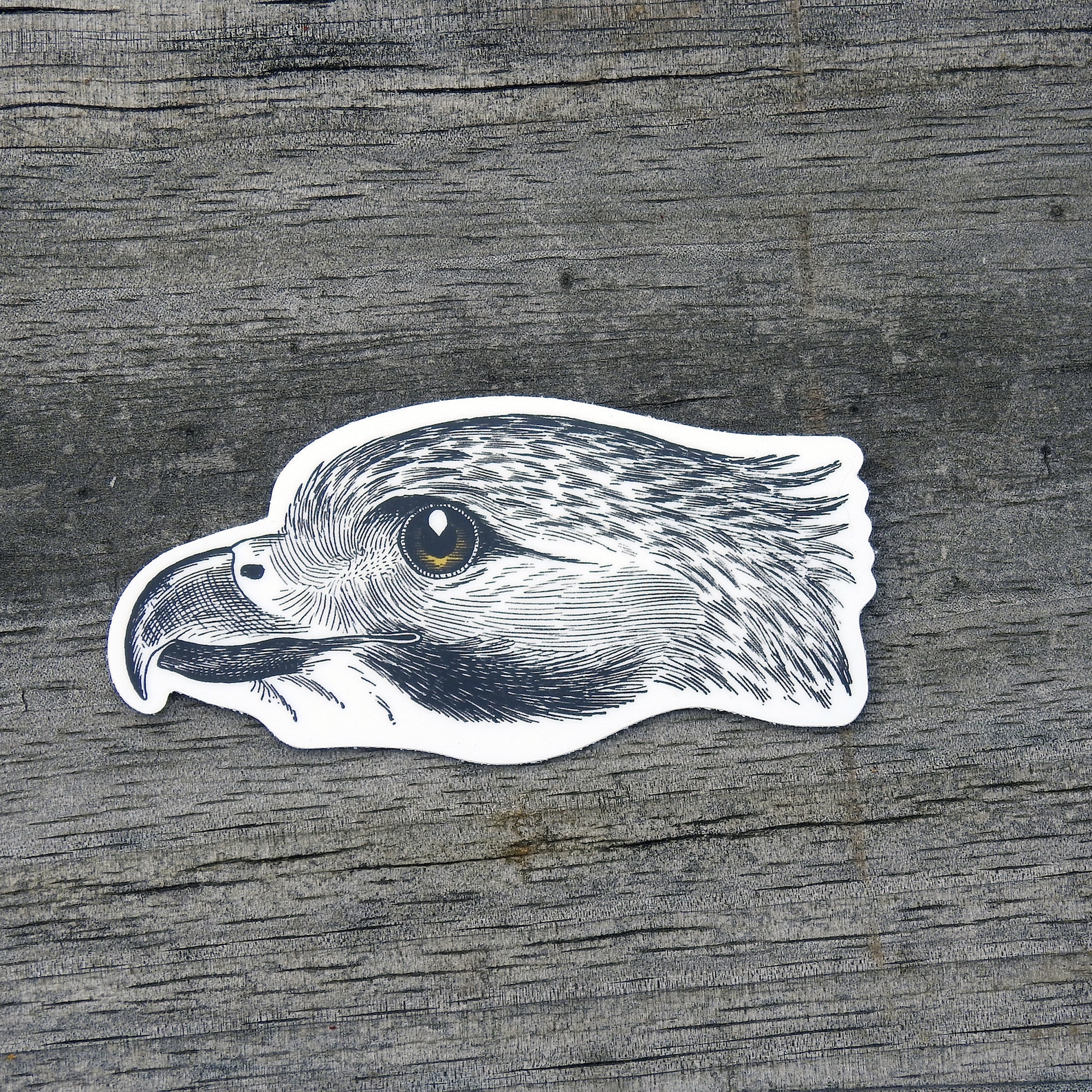 Hawk Matte Vinyl Sticker Bird Sticker Art Stickers - Etsy