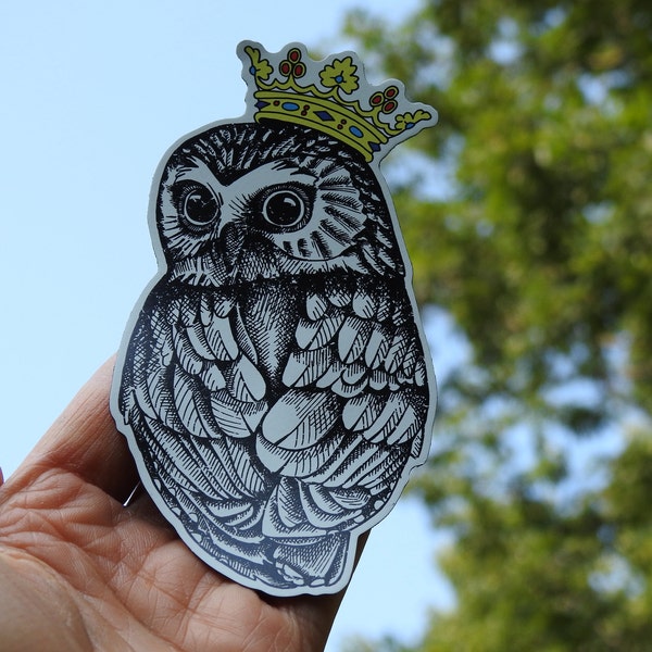 Owl Magnets - Etsy