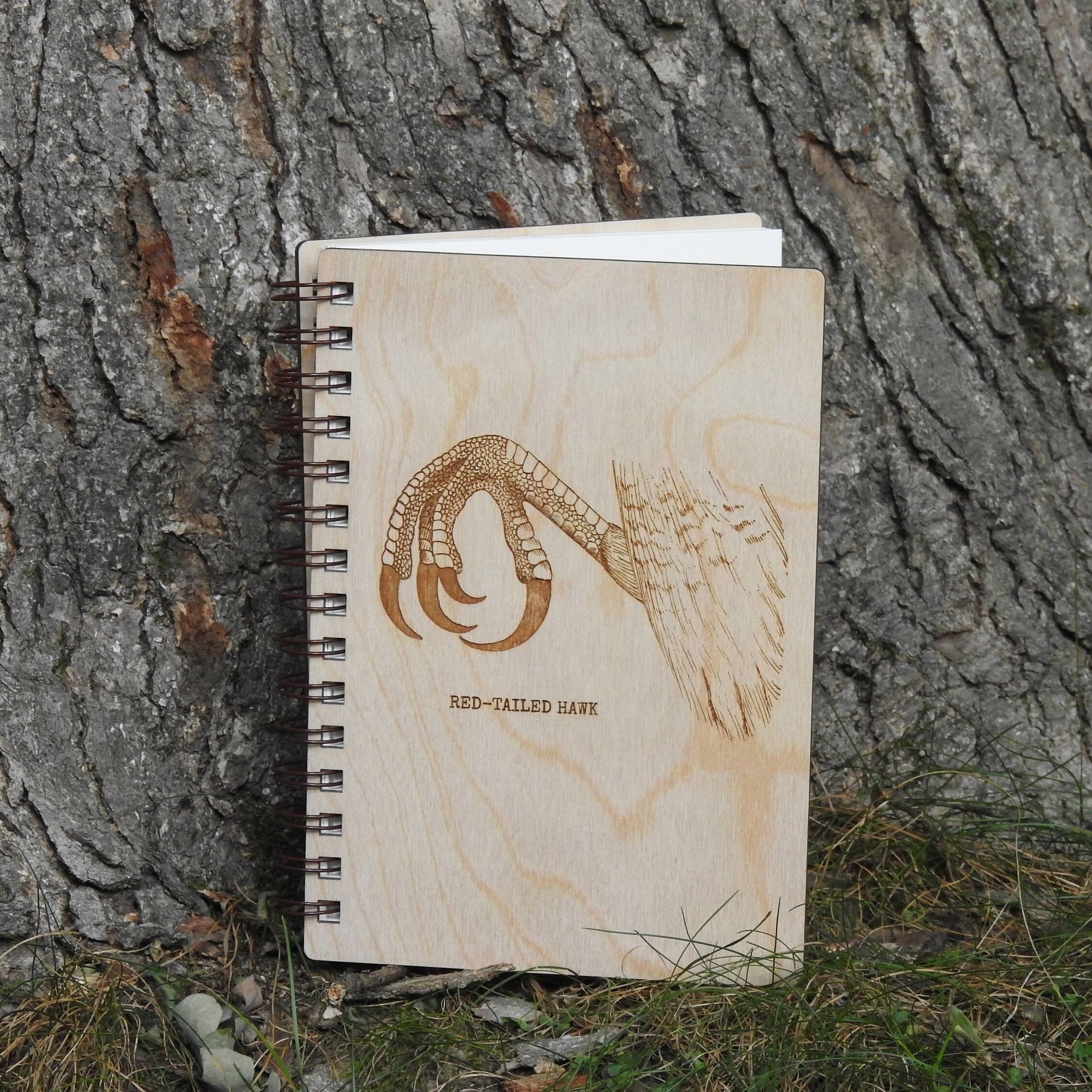 Red Tailed Hawk Talon Notebook Journal, Guest Book, Blank Recipe Book ...
