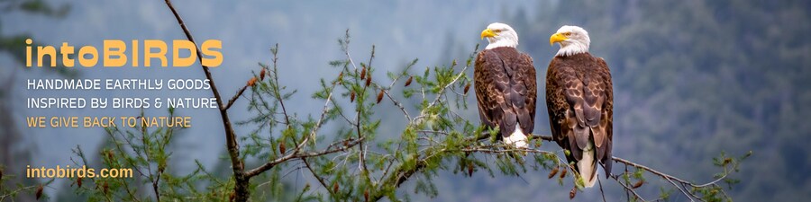 intoBirds - Etsy
