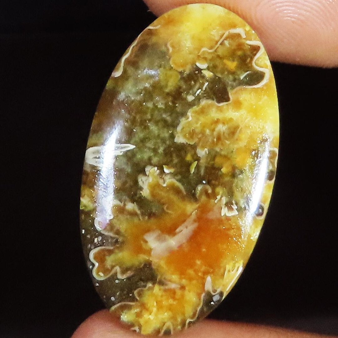 Natural Suture Ammonite Fossil Gemstone | Mix Cabochon Ammonite Fossil ...