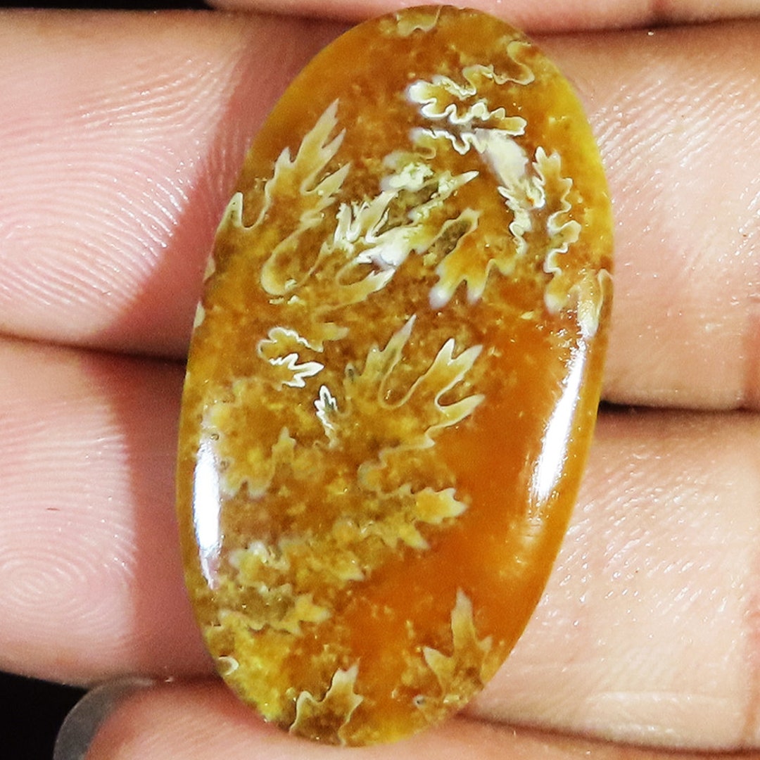 Natural Suture Ammonite Fossil Gemstone Mix Cabochon Ammonite Fossil ...