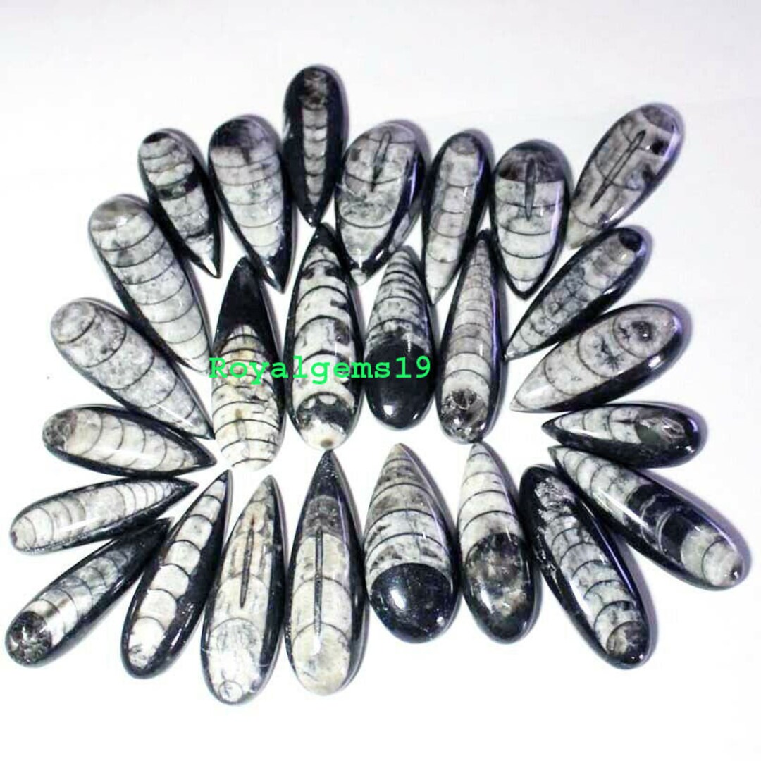 Natural Orthoceras Gemstone | Mix Shape Cabochon Orthoceras Stone ...