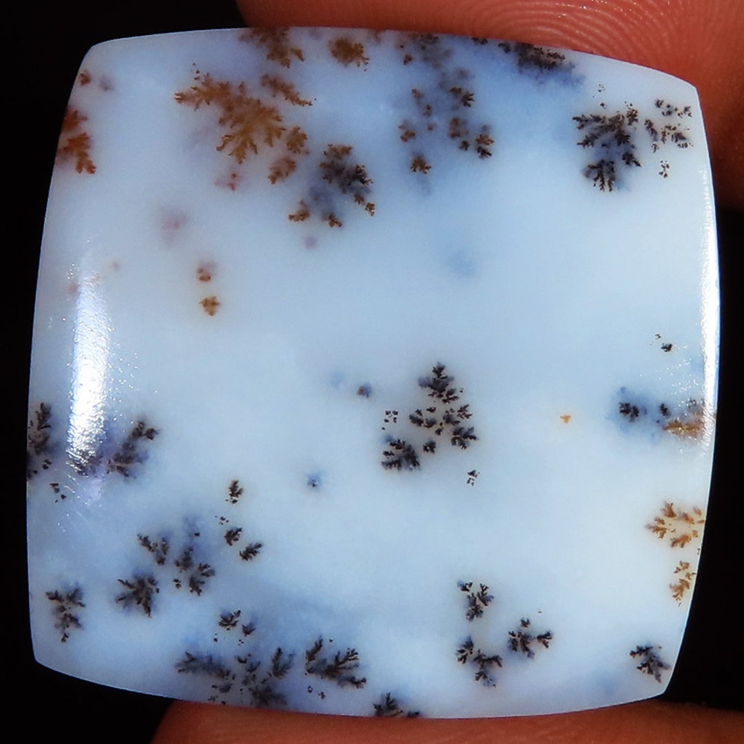 Natural Scenic Dendrite Agate Gemstone Mix Cabochon Scenic Dendrite ...