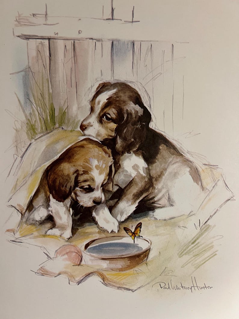 Vintage Paul Whitney Hunter Puppy Print 8x10” 1979 - Etsy