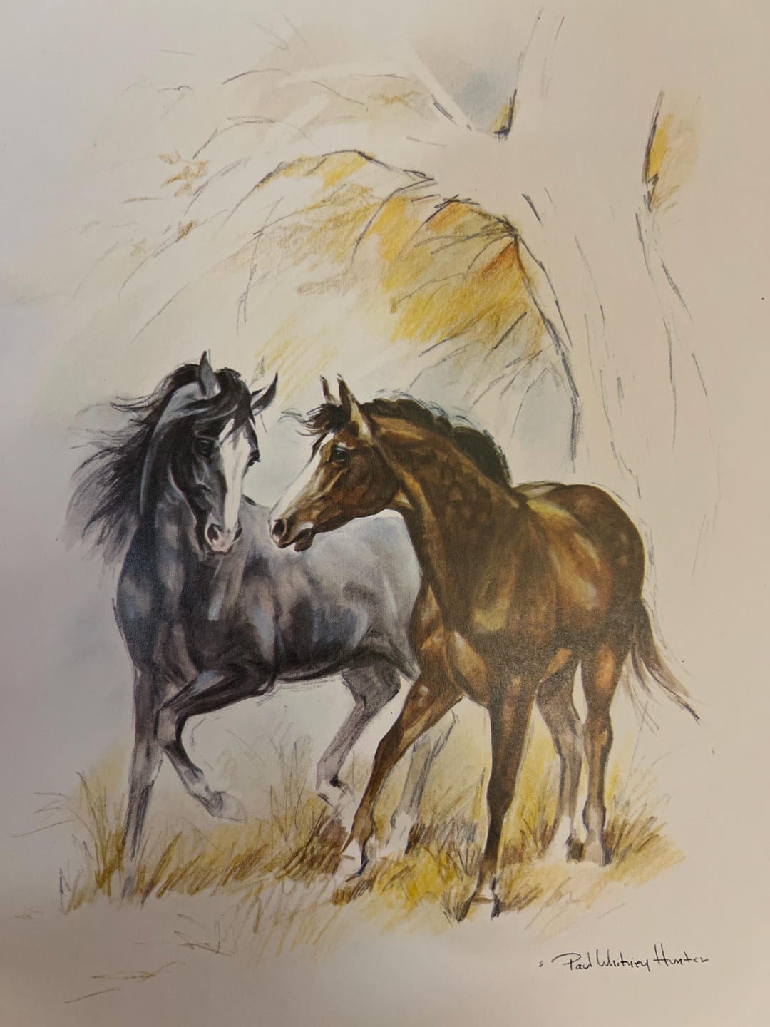 Vintage Paul Whitney Hunter Horses Western Print 8x10” 1979 - Etsy