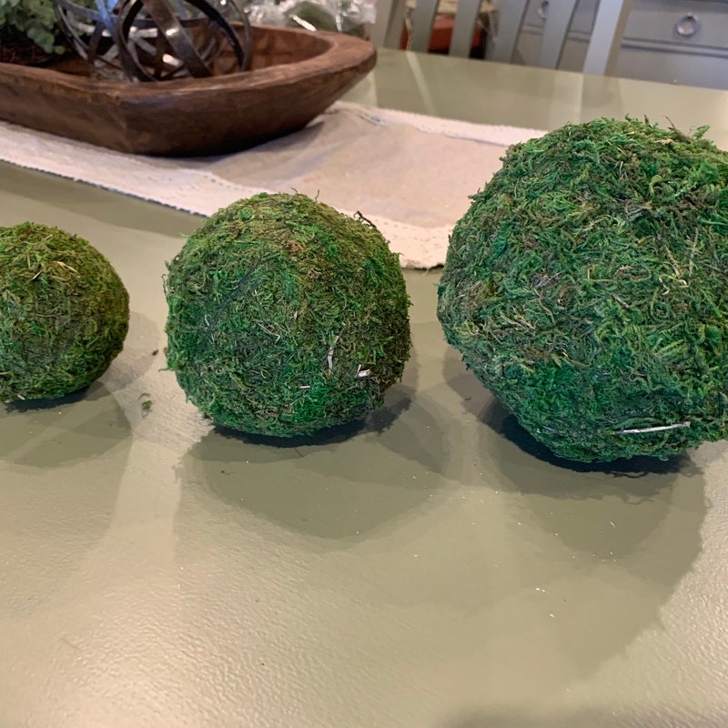 Moss Balls - Etsy