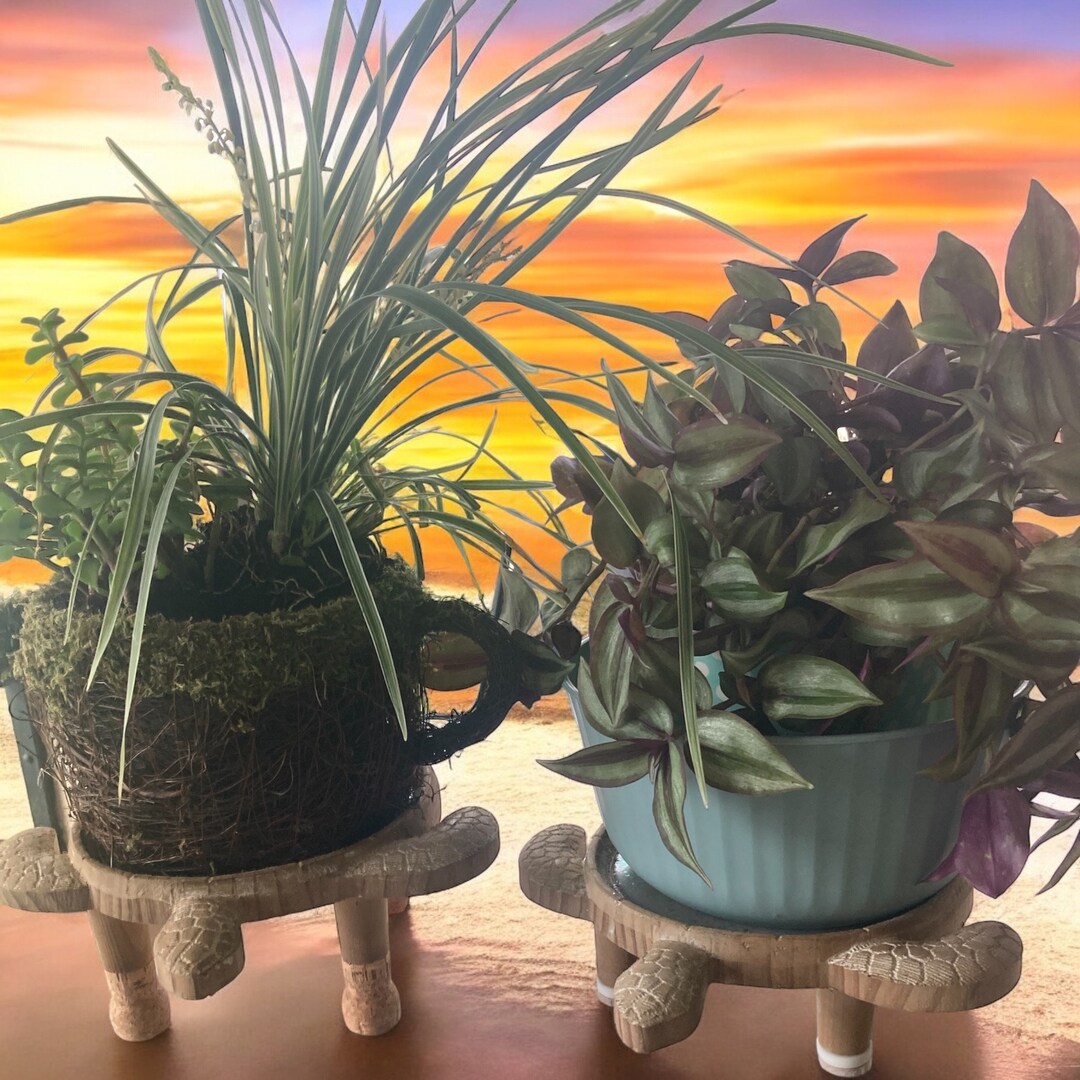 Turtle Planter Stand - Etsy