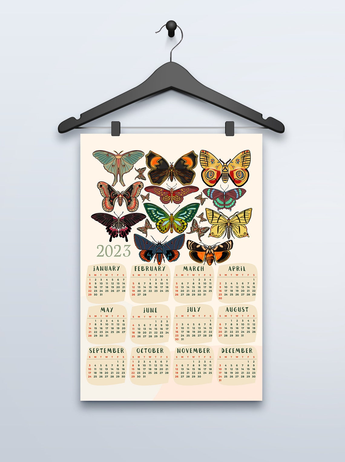 2024 Butterflies and Moth Calendar Antique Butterflies and Moths Wall ...