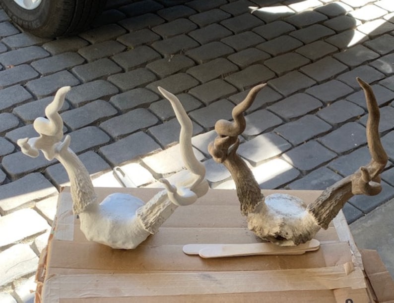 Deer Antlers Non-typical - Etsy