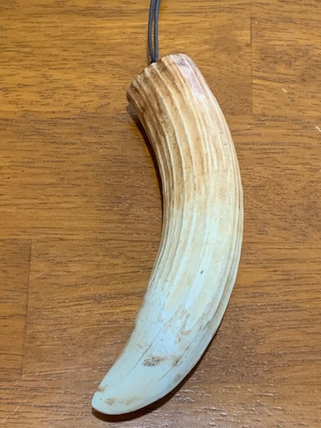 African Hippo Tooth Ornament - Etsy