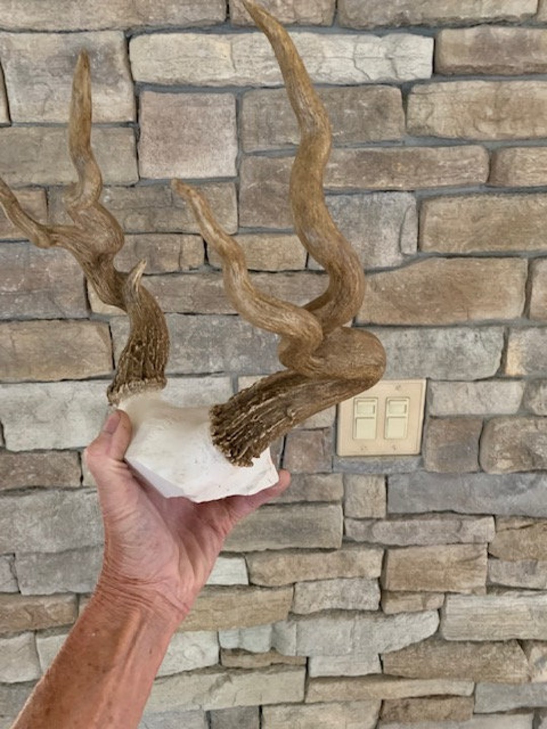 Deer Antlers Non-typical - Etsy