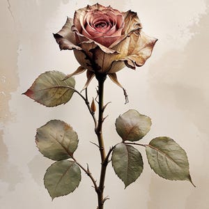 Wilted Rose Art Print – Hand-painted Style Botanical Wall Decor - Etsy