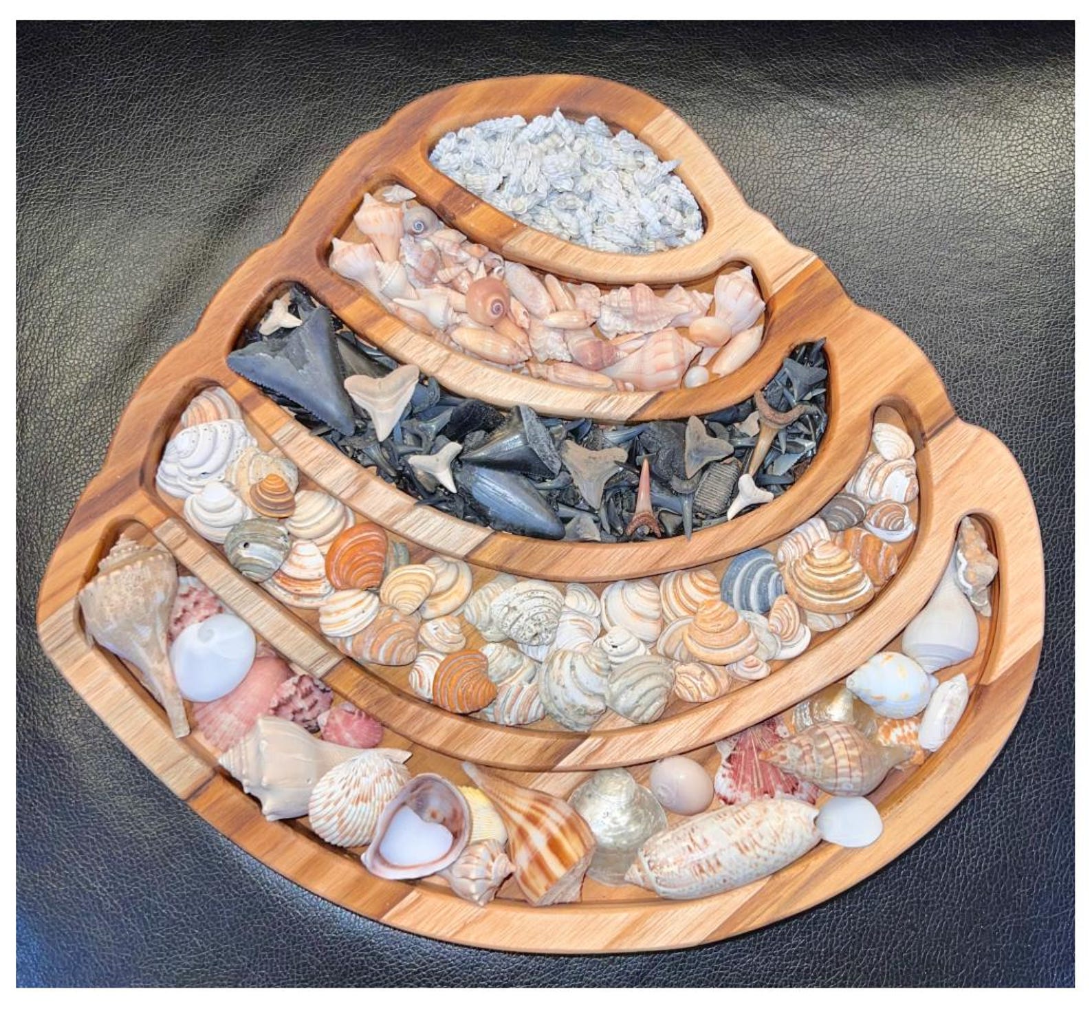 Pawleys Island Shell-shaped Charcuterie Board (15") Teakwood - Etsy