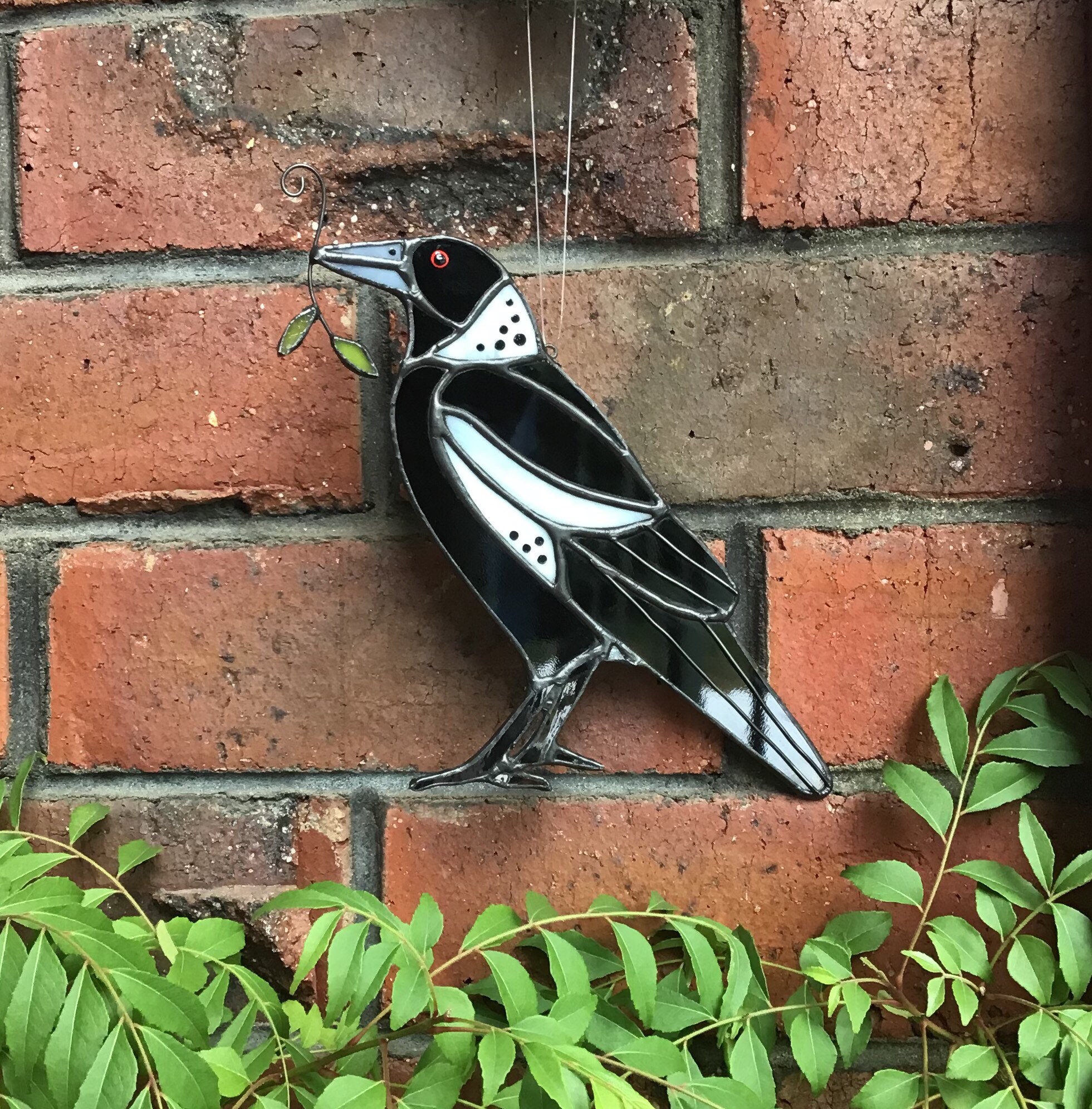 Magpie Crow Corvidae Native Australian Bird Glass Sun-catcher - Etsy