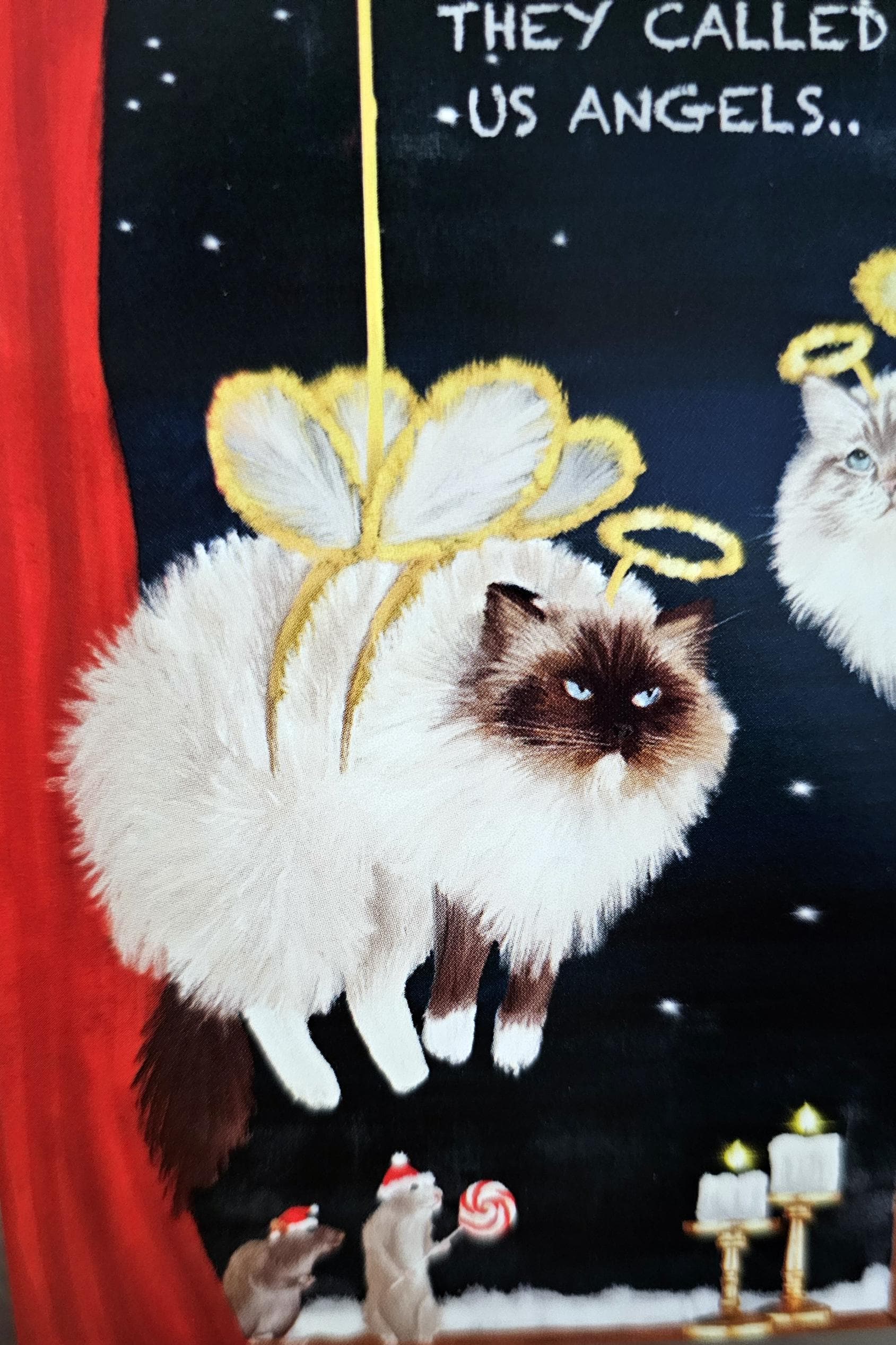 Funny Festive Ragdoll Cat Angels Christmas Card Snowy Window Scene for ...