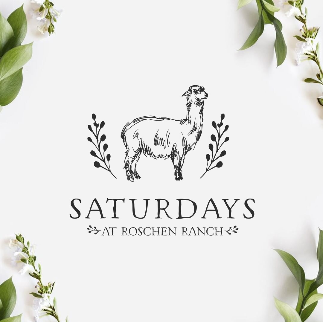 Premade Alpaca Logo Design - Elegant Animal Design - Lama Black and ...