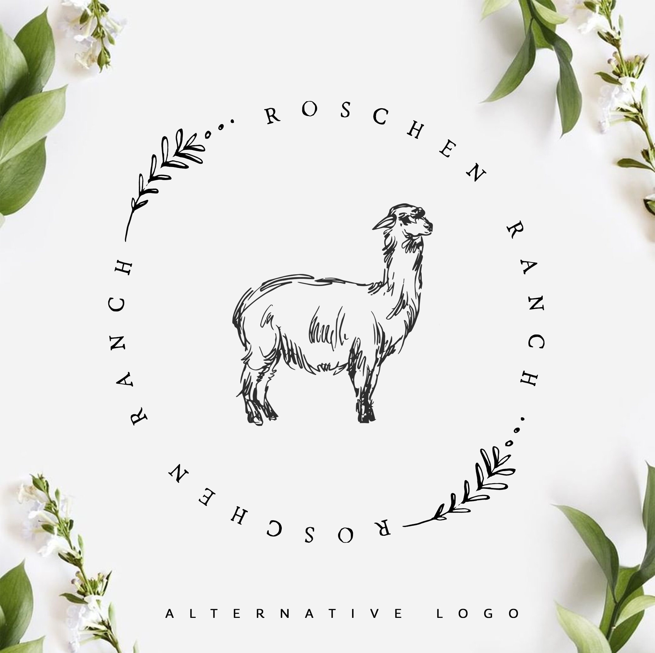 Premade Alpaca Logo Design Elegant Animal Design Lama - Etsy