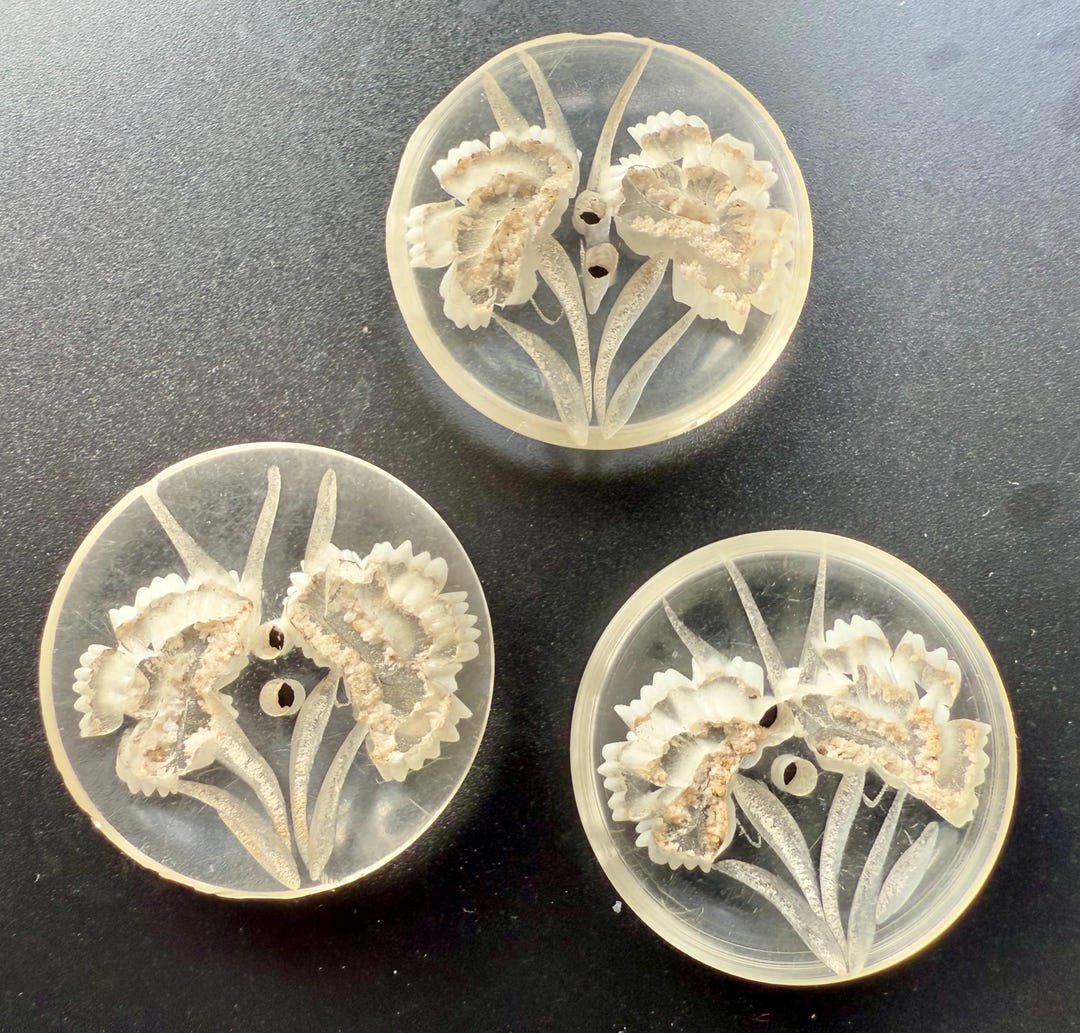 Antique Lucite Button, Art Nouveau Button, Reverse Cut Lucite, Perspex ...