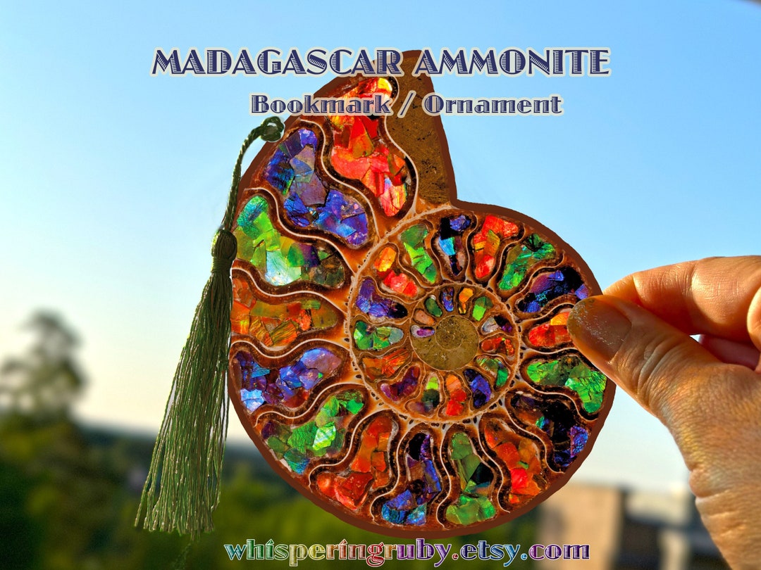 Madagascar Ammonite stained Glass Clear Bookmarks / Transparent ...