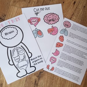 Inside My Body First Anatomy Biology Science Digital Download PDF File ...