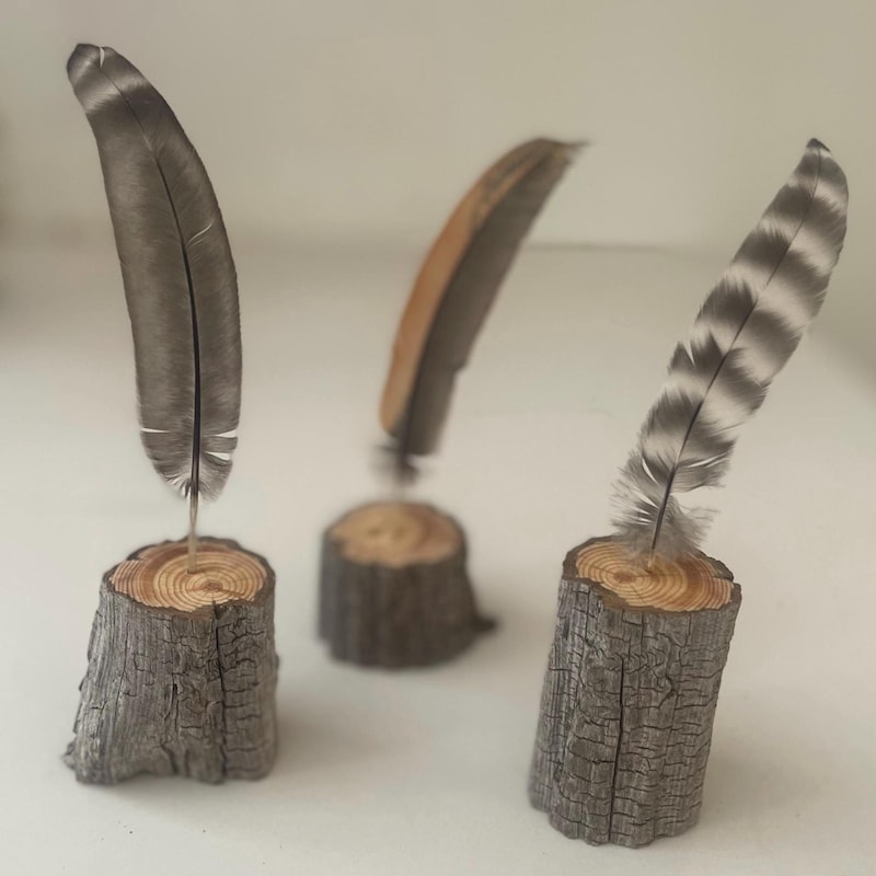 Natural Feather Display - Etsy