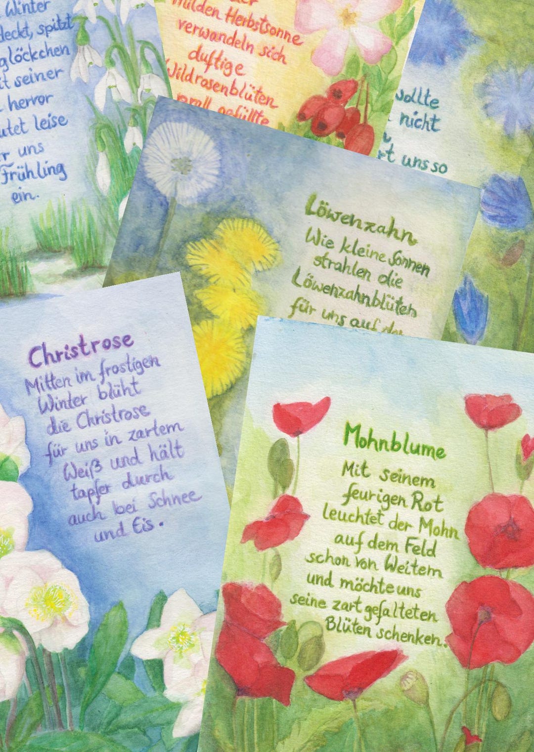 Set of 6 Postcards | Wildflowers | Gift | Art Cards | Seasonal Table ...