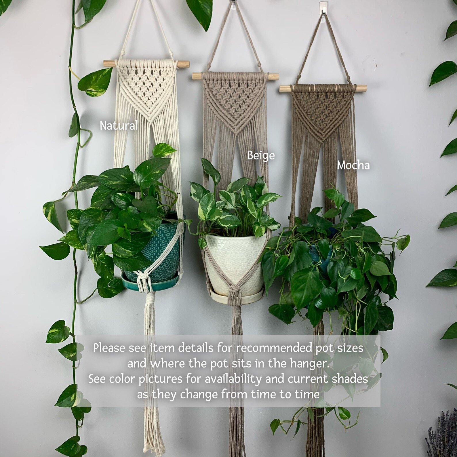Macrame Plant Hanger Macrame Wall Plant Holder Macrame - Etsy