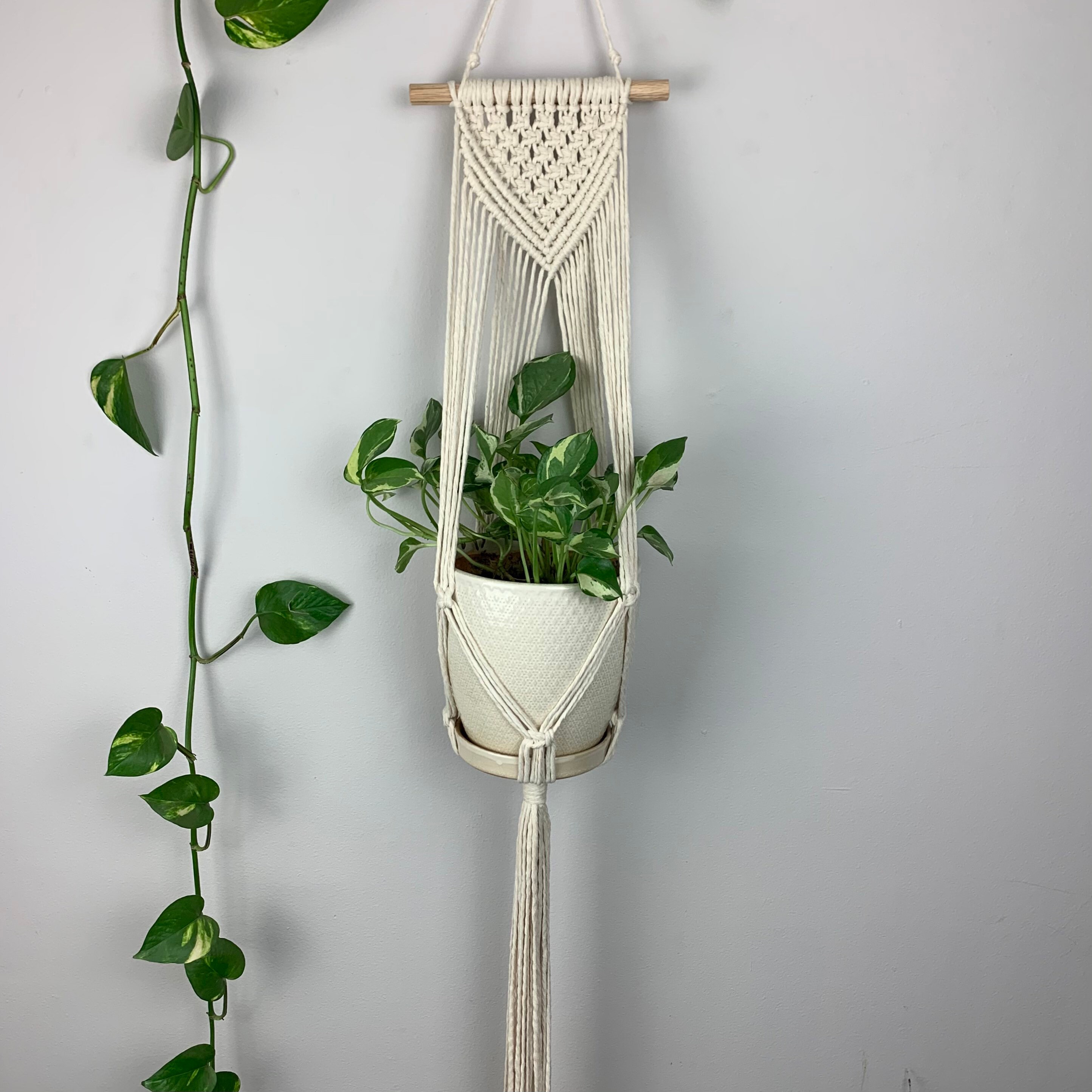 Macrame Plant Hanger Macrame Wall Plant Holder Macrame | Etsy