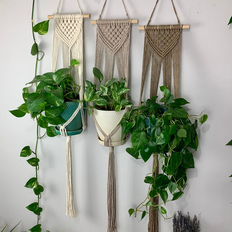 Macrame Plant Hanger Macrame Wall Plant Holder Macrame - Etsy