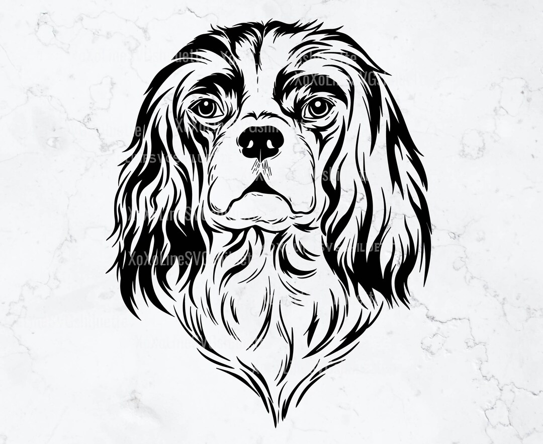 Cavalier King Charles Spaniels Svg, Files for Cricut, Cut Files for ...
