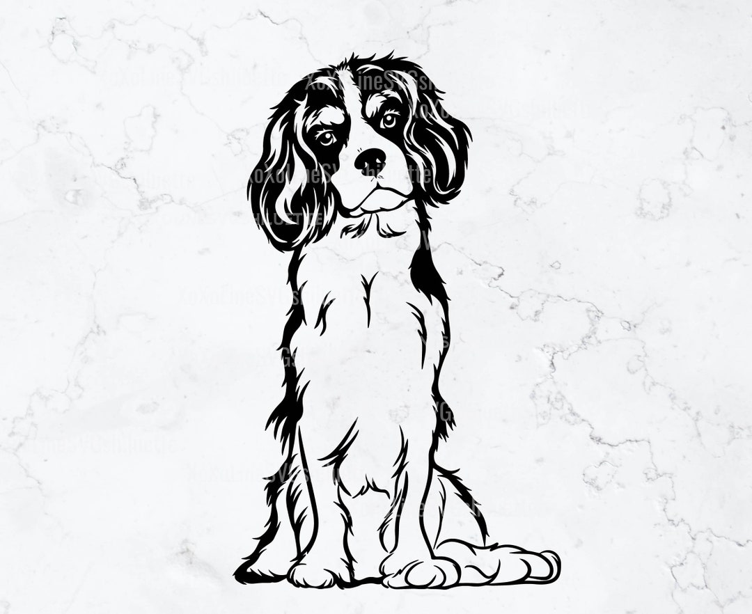 Cavalier Spaniel Dog Svg,silhouette, Cavalier Shirt Png, Cavalier ...