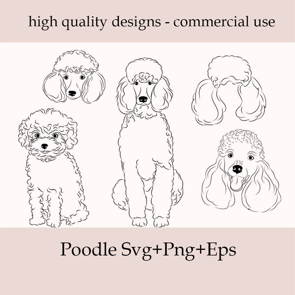 Poodle Vector Clipart Line Art