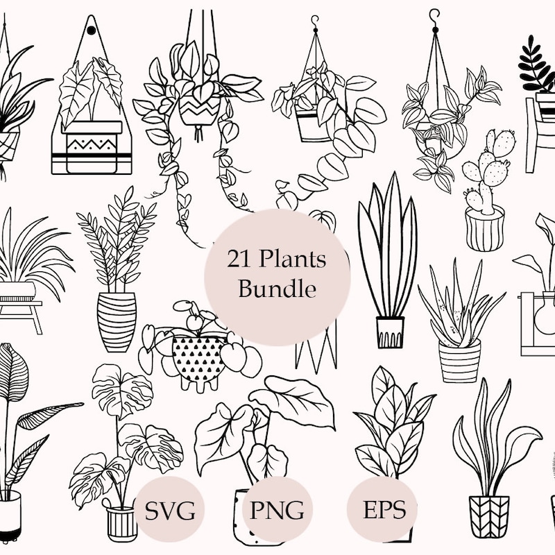 Plant Svg - Etsy