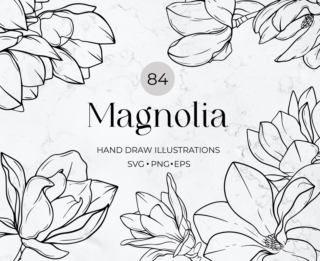 Magnolia SVG Bundle, Botanical Png, Hand Drawn Illustration, Magnolia ...