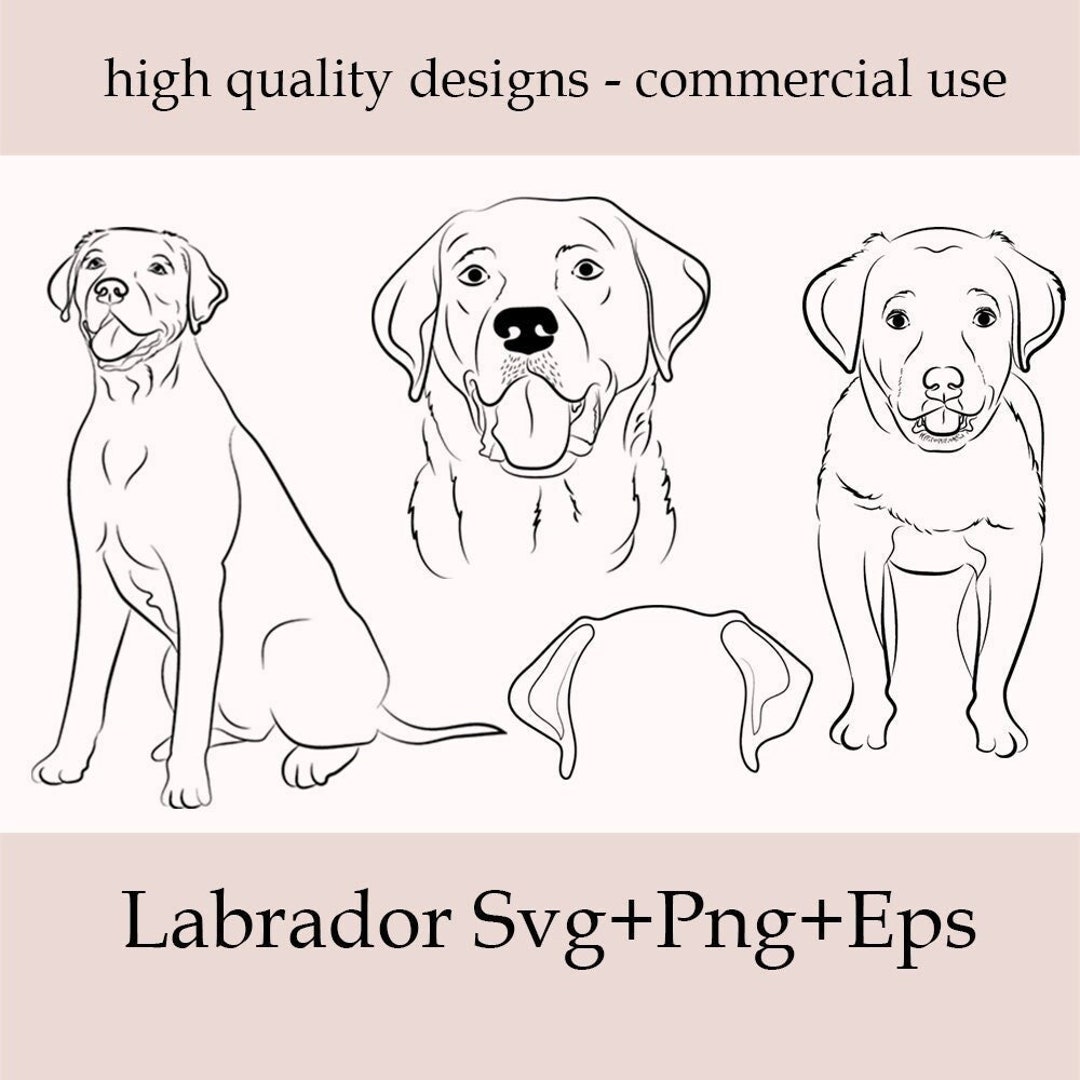 Labrador SVG, Labrador Retreiver Svg, Golden Retreiver Svg, Lab Face ...