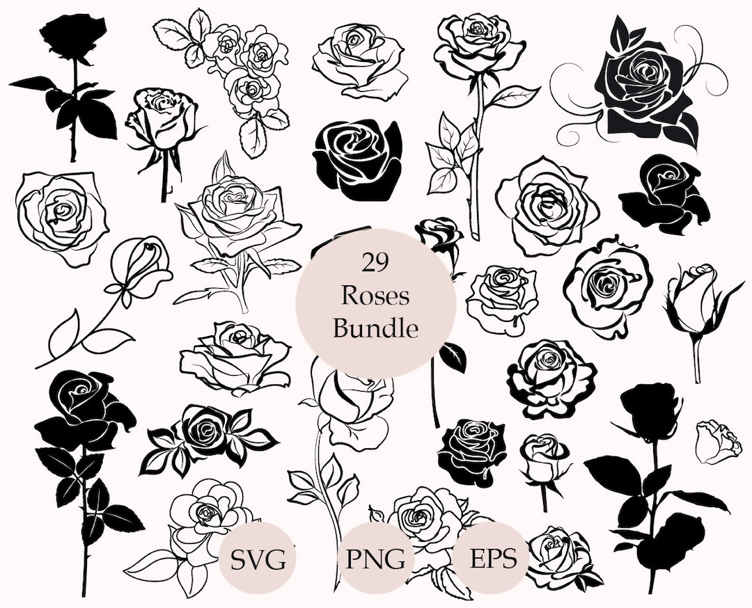 Rose Svg Bundle, Roses Svg, Rose Clipart, Flowers Svg, Silhouette, Rose ...