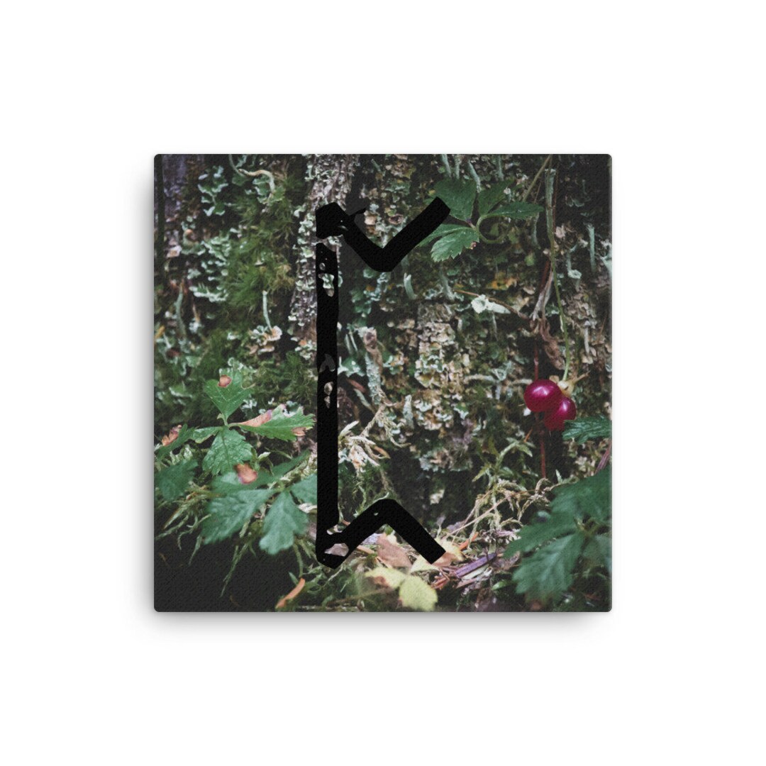 Pertho Pagan Gift, Elder Futhark Rune Print, Asatru Nature Canvas Print ...