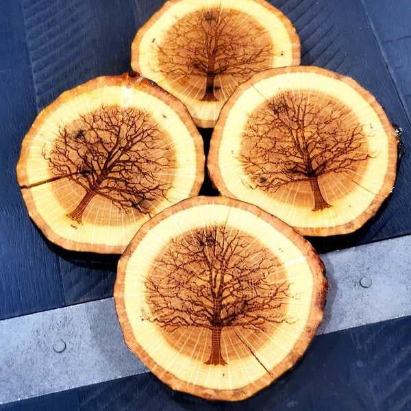 Live Edge Oak Coasters - Etsy UK
