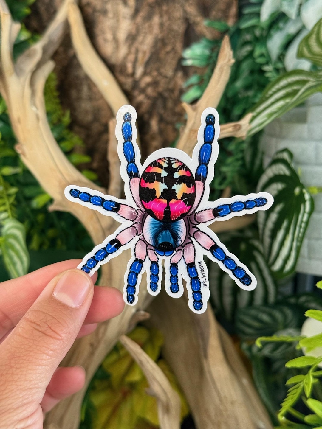 Brazilian Jewel Tarantula (T. Seladonia) Sticker - Etsy