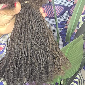 Microloc Interloc Human Hair Curly Loc Extensions 10-400 Locs per ...