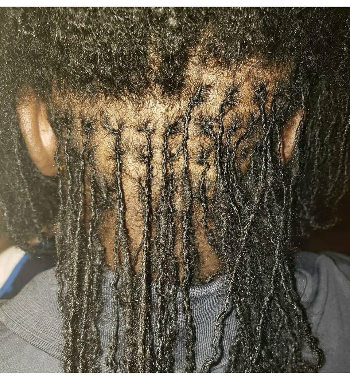 Micro Locs Dreadloc Extensions Microlocs for Sale Dreads | Etsy