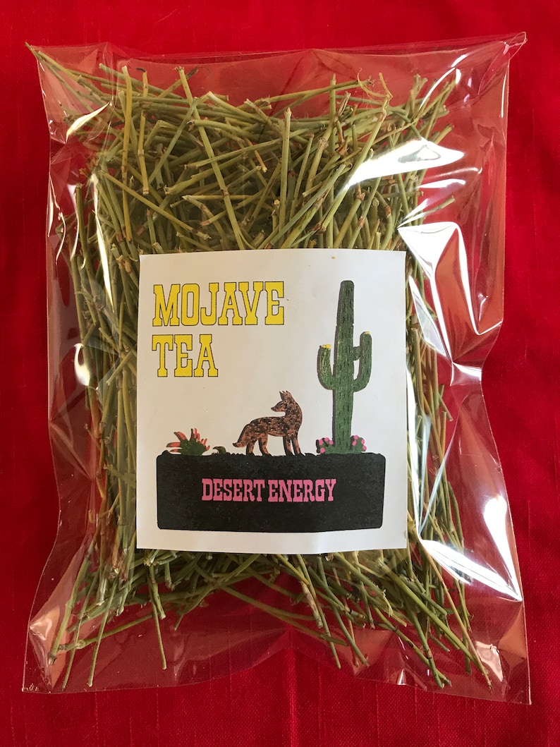 6 Oz Pure Mormon Tea Mojave Desert Organic Dried Popotillo, Cowboy ...