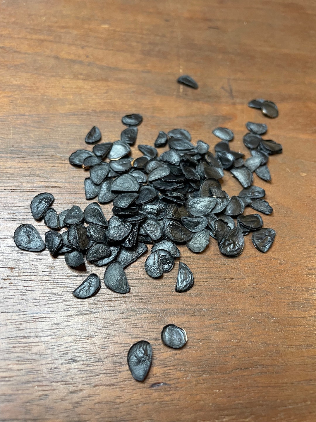 White Yucca Adam's Needle Seed 20 Count - Etsy