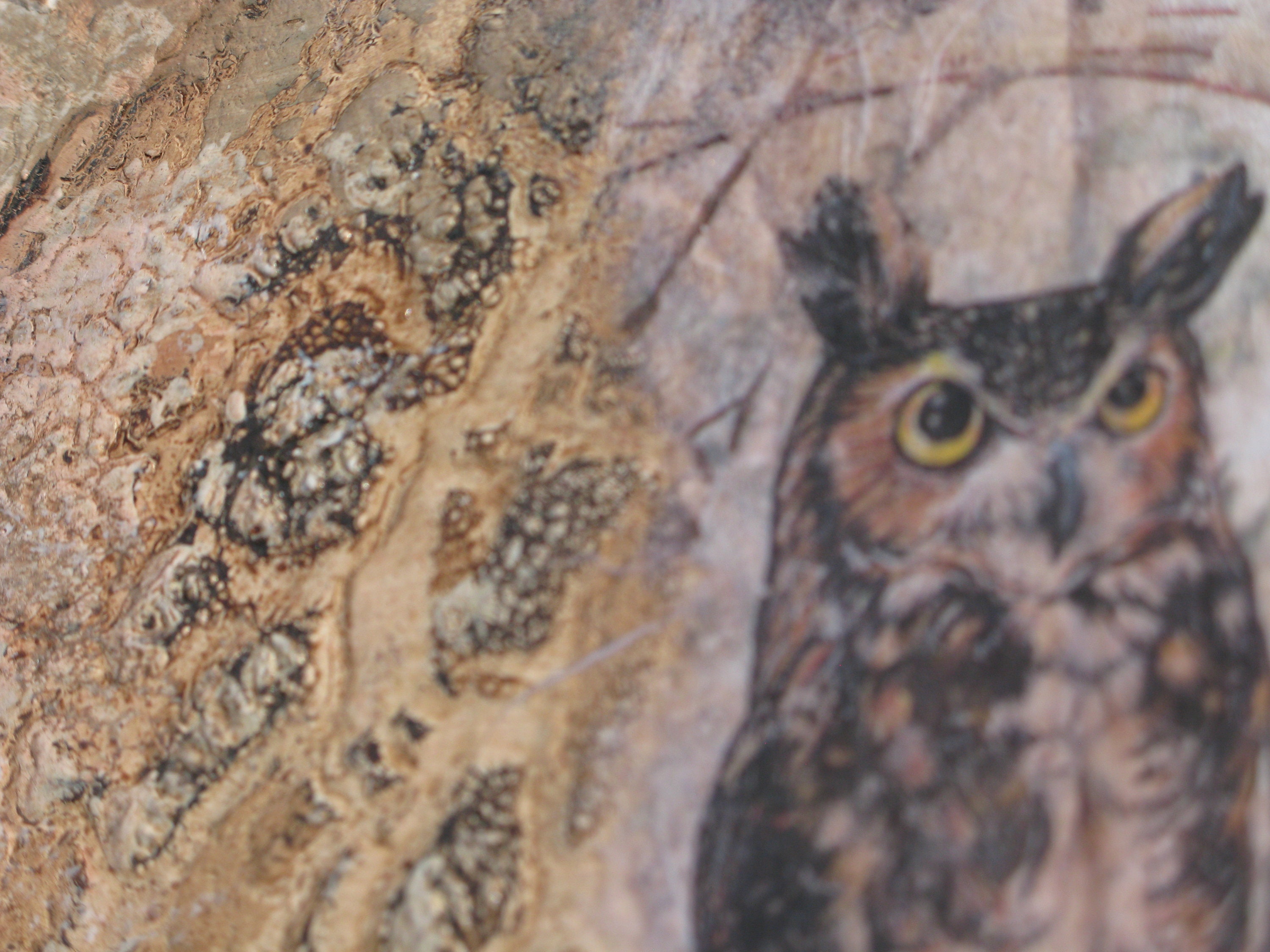 Owl Family Tree - Etsy