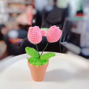 Mini Crochet Flower Pot,hand Made,personalized Gift ,home Decoration ...